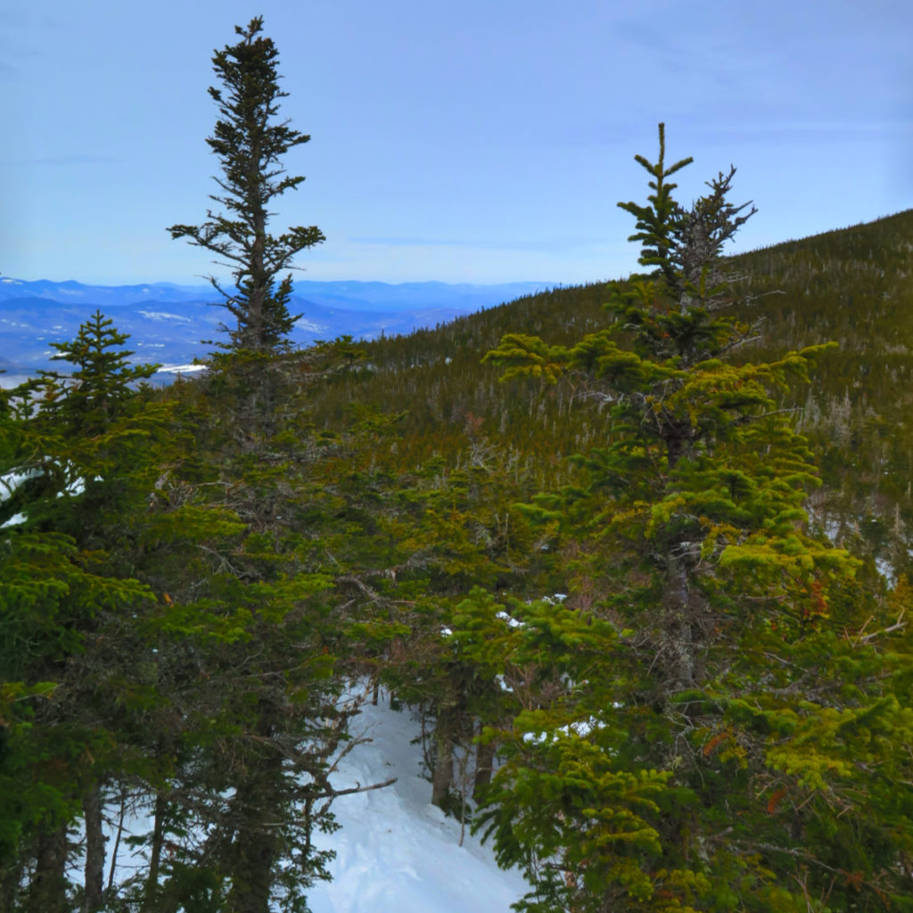 Trip Report: Middle Carter Mountain – Protean Wanderer