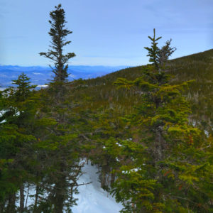 Trip Report: Middle Carter Mountain – Protean Wanderer