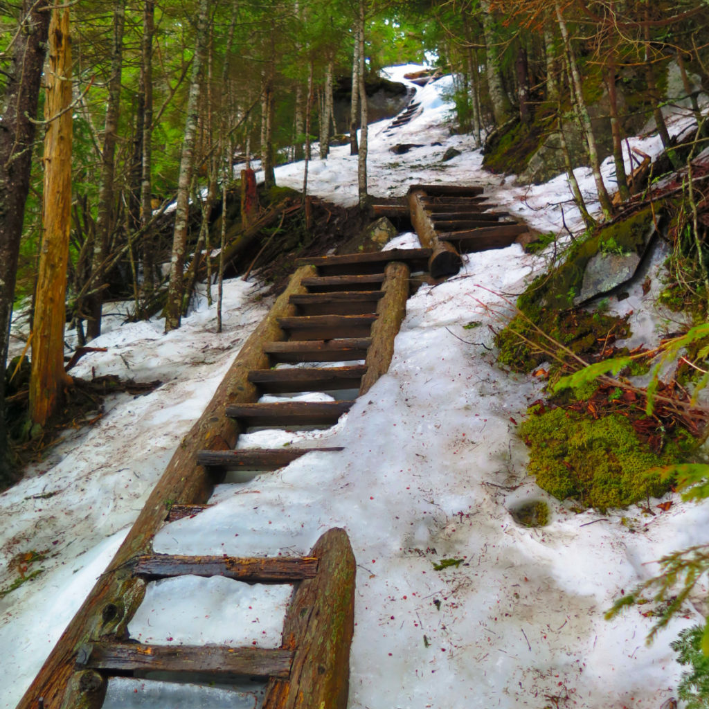 Trip Report: Mt Tom, Mt Field, Mt Willey – Protean Wanderer