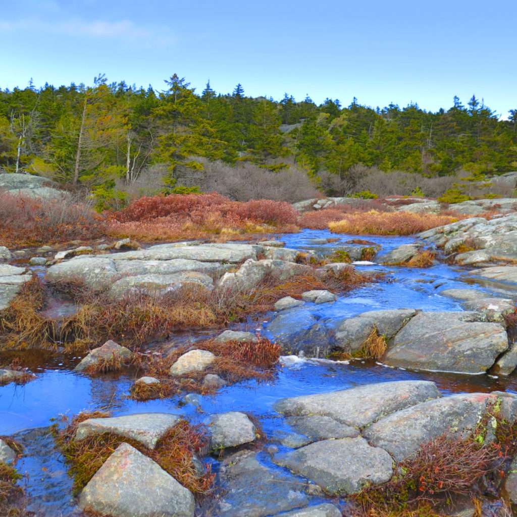 Training Hike: Grand Monadnock – Protean Wanderer