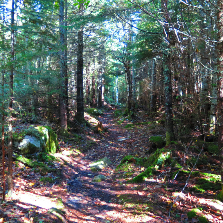 Trip Report: North Brother Mountain – Protean Wanderer