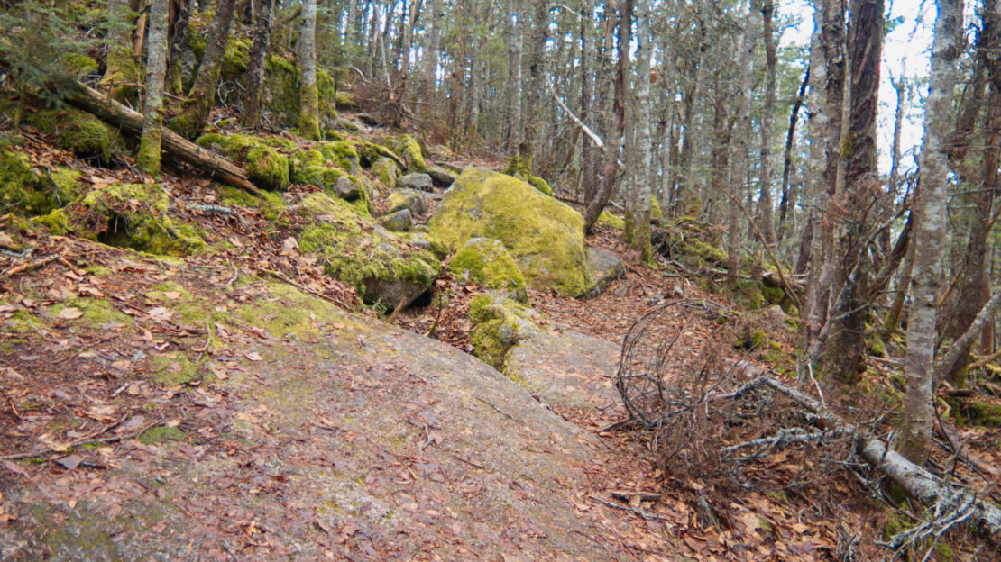 Trip Report: Jennings Peak – Protean Wanderer