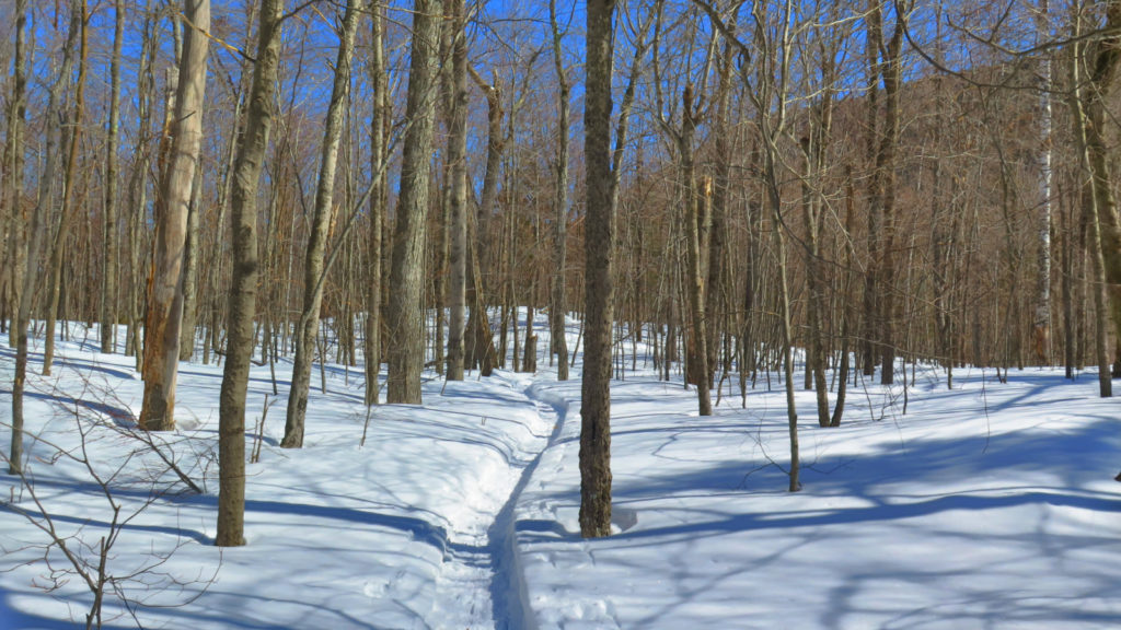 Trip Report: Middle Carter Mountain – Protean Wanderer