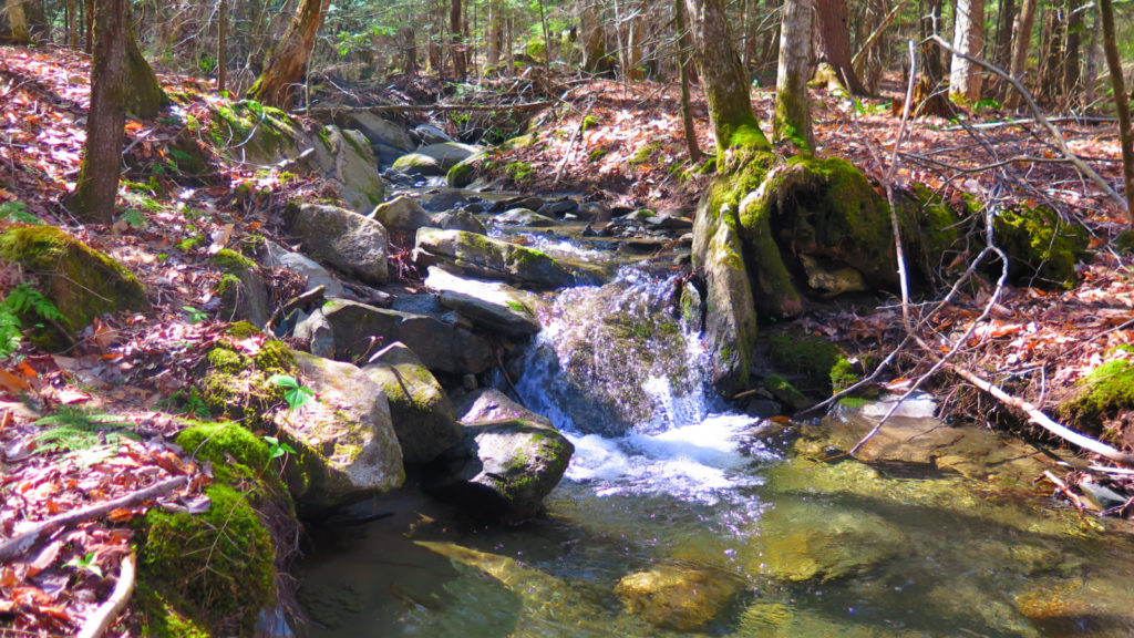 Trip Report: Mt Cube – Protean Wanderer