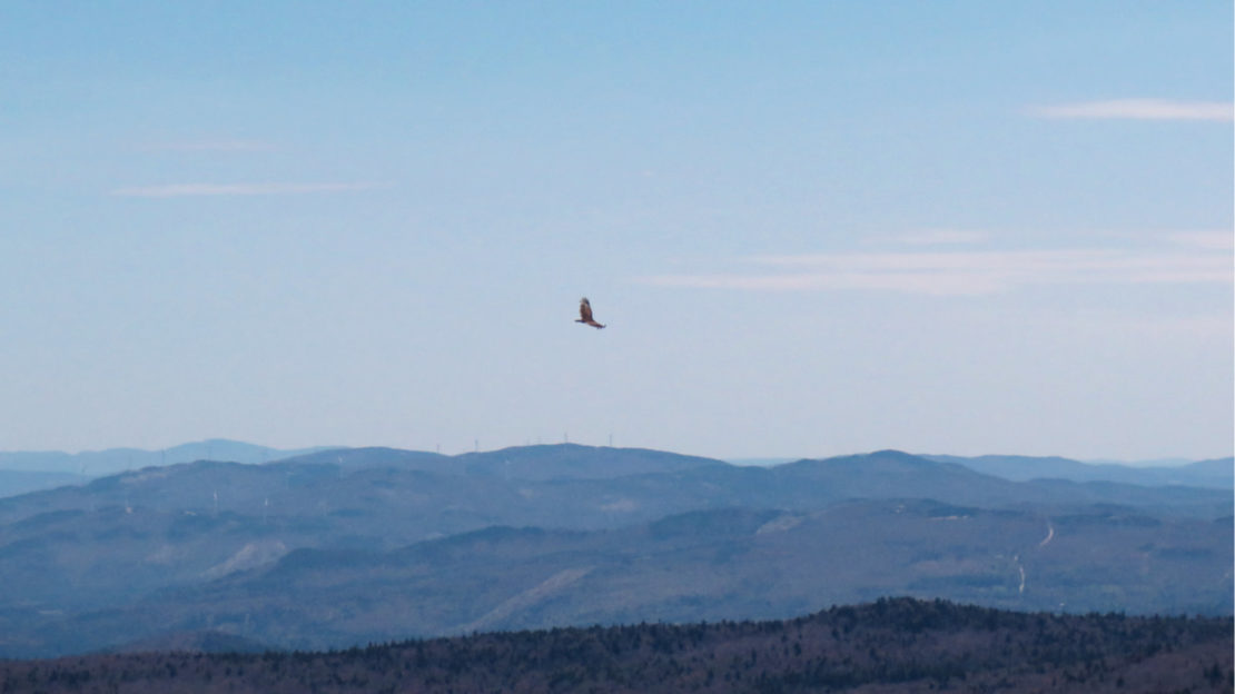 Trip Report: Mt Cube – Protean Wanderer