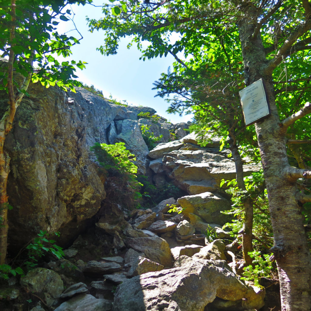 Trip Report: Mt Isolation (Summer ’19) – Protean Wanderer