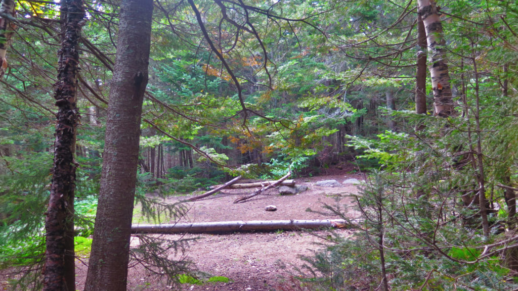 Trip Report: Mt Whiteface and Mt Passaconaway – Protean Wanderer