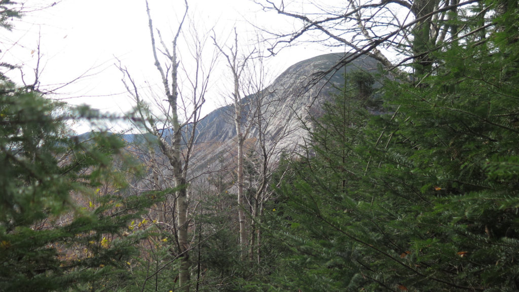 Trip Report: Greenleaf Hut – Protean Wanderer