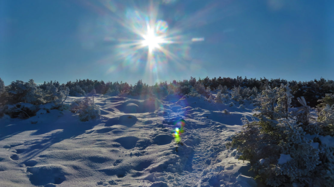 Trip Report: Mt Pierce – Protean Wanderer