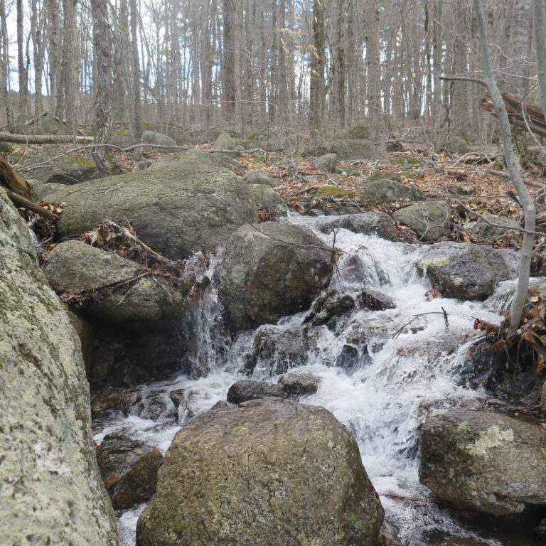 Trip Report: Springtime on Skatutakee and Thumb Mountain – Protean Wanderer