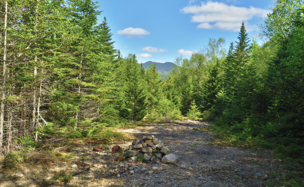 Trip Report: Taking the Timber Camp Trail to the Top – Protean Wanderer