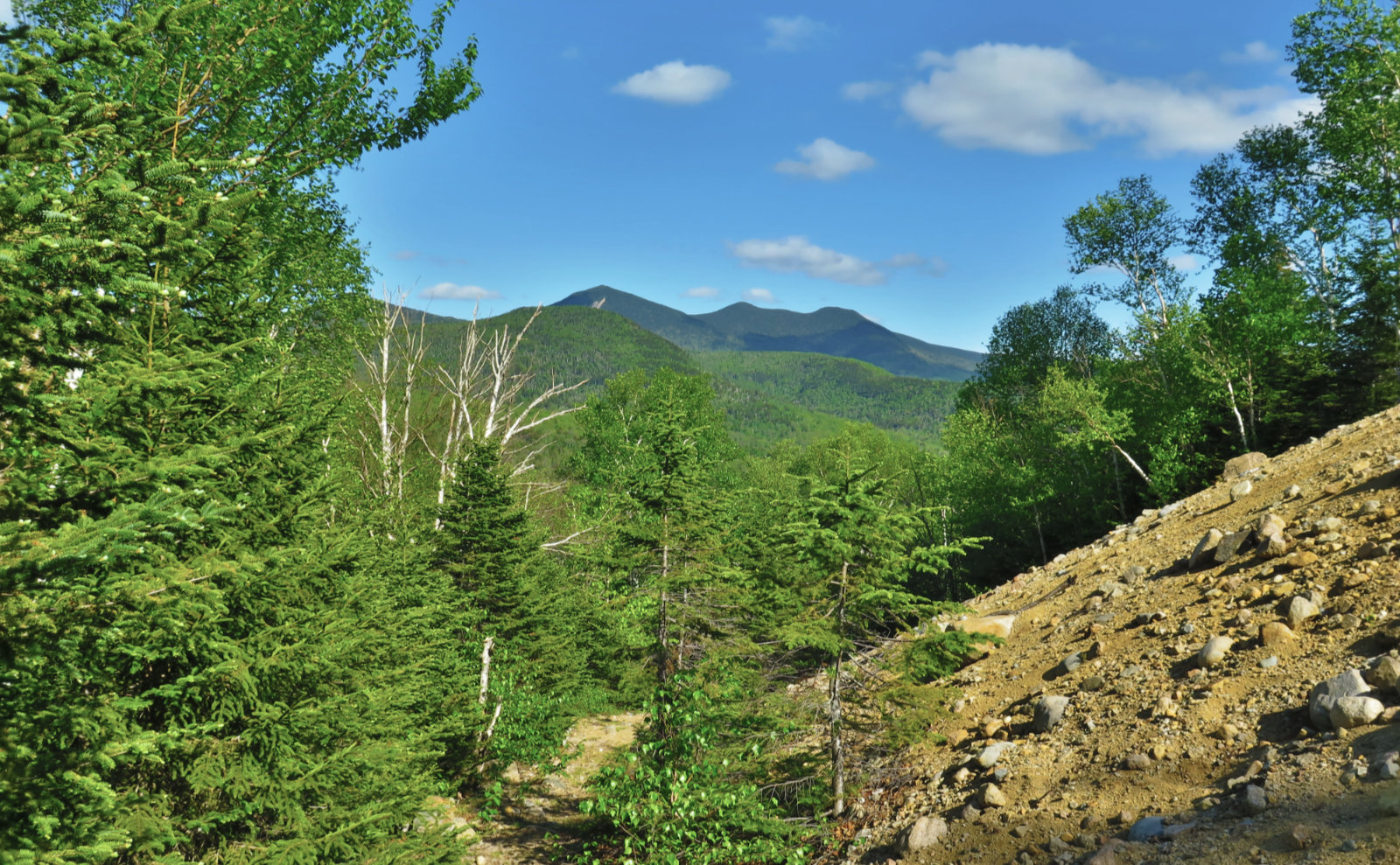 Trip Report: Taking the Timber Camp Trail to the Top – Protean Wanderer