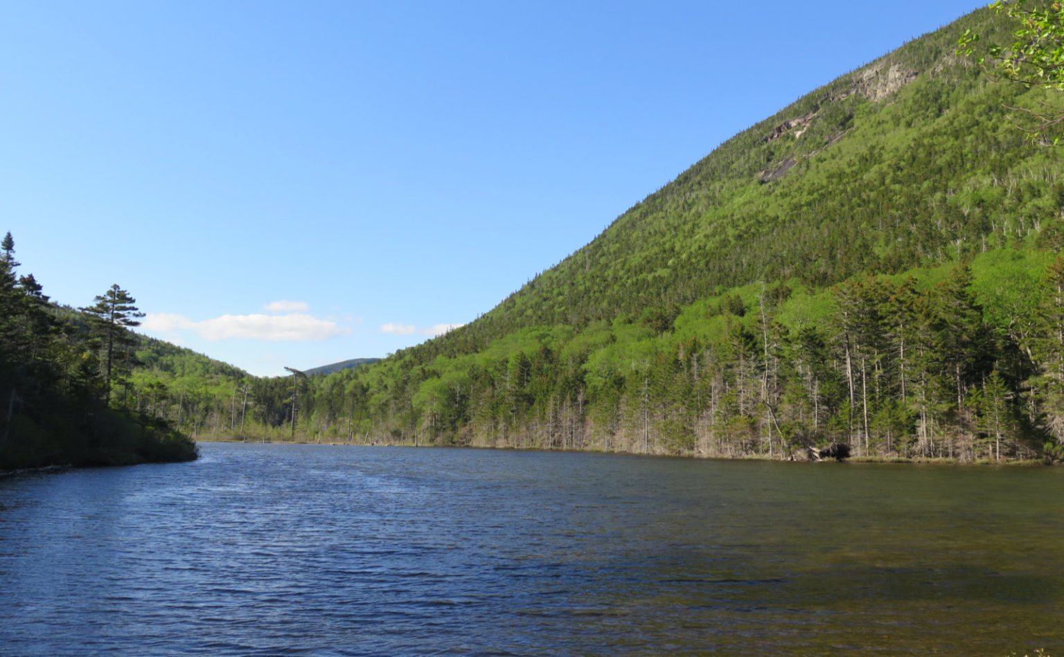 2020-05-31 – Protean Wanderer