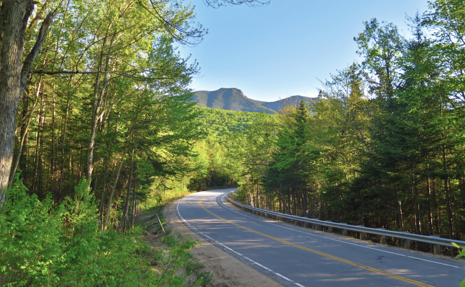 Trip Report: Taking the Timber Camp Trail to the Top – Protean Wanderer