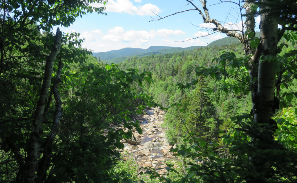 Trip Report: Starting Summer on Mt Isolation. – Protean Wanderer