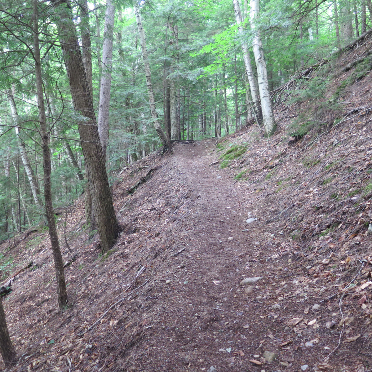 Trip Report: Grand Tour of the Pemigewasset — AKA a Pemi Loop ...