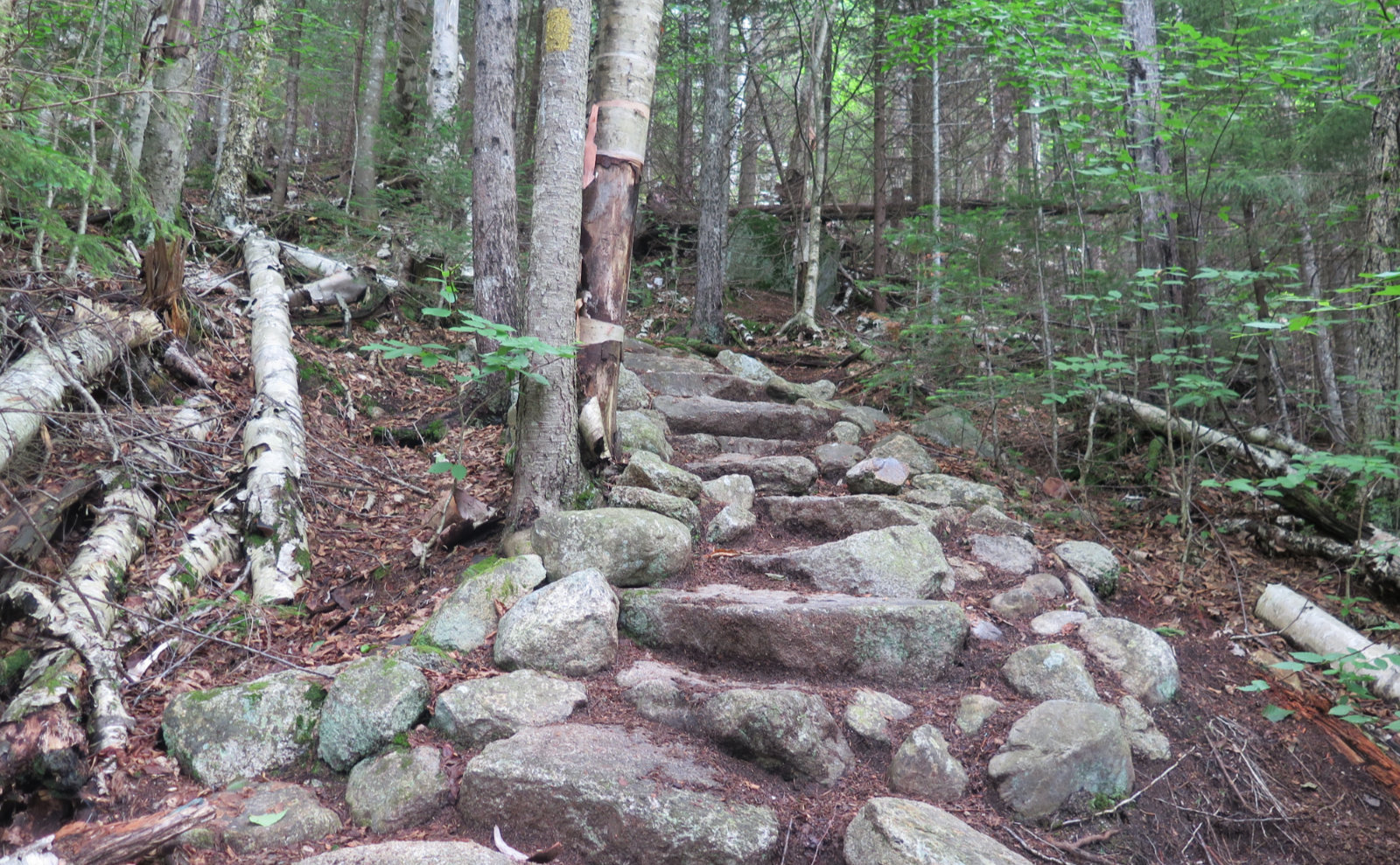 Trip Report: Grand Tour of the Pemigewasset — AKA a Pemi Loop ...