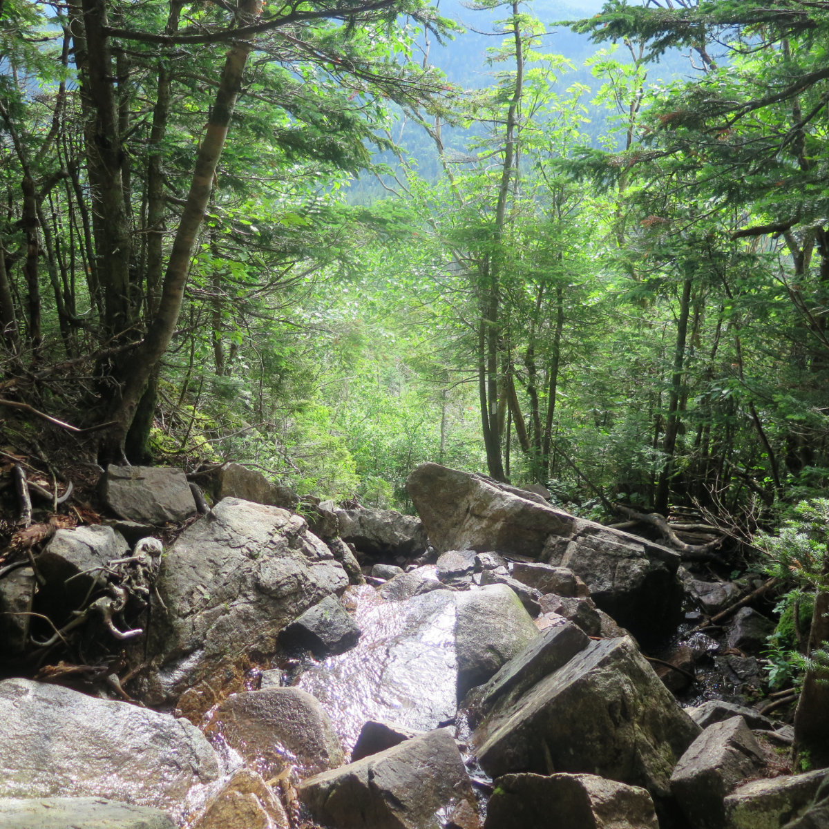 Trip Report: Grand Tour of the Pemigewasset — AKA a Pemi Loop ...