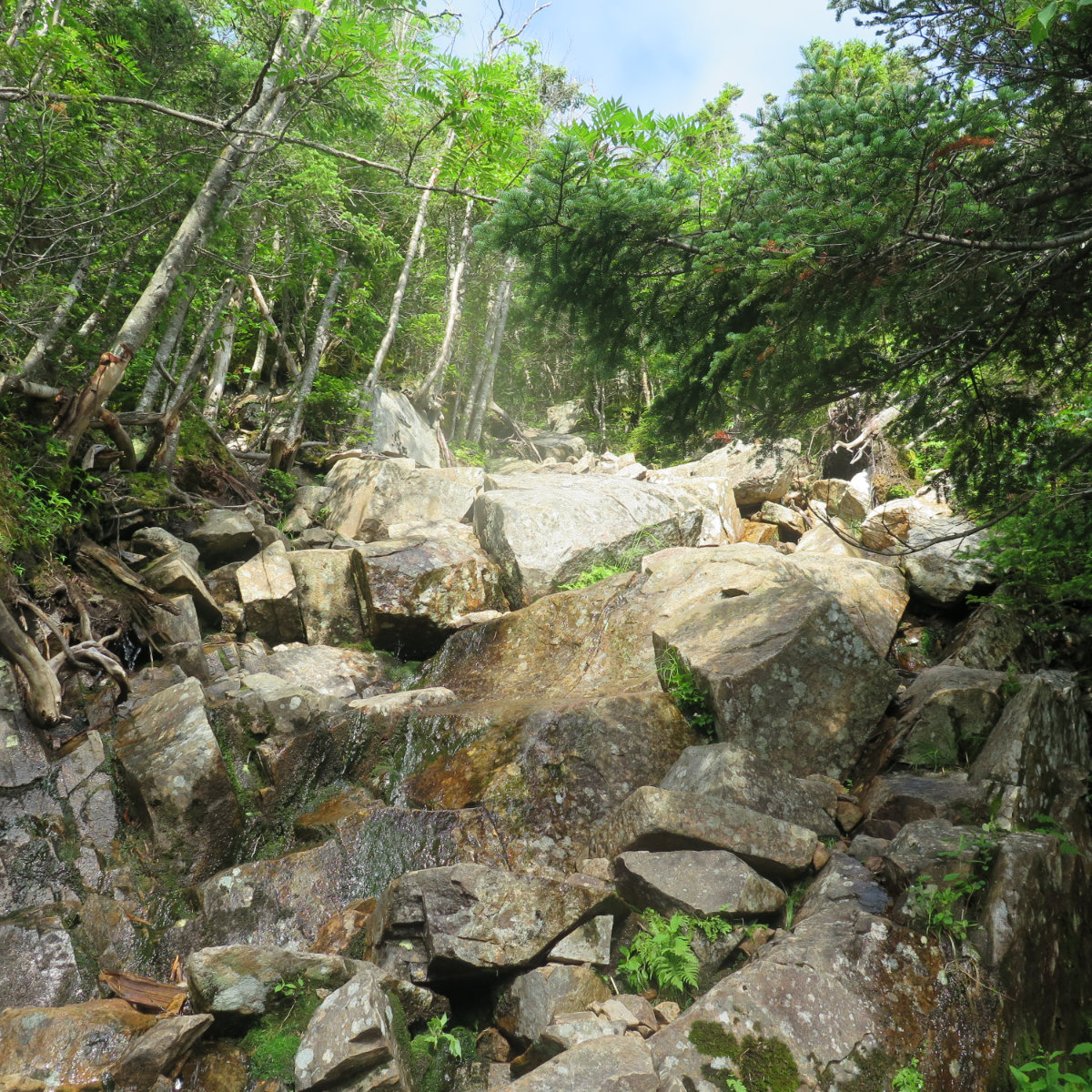 Trip Report: Grand Tour of the Pemigewasset — AKA a Pemi Loop ...