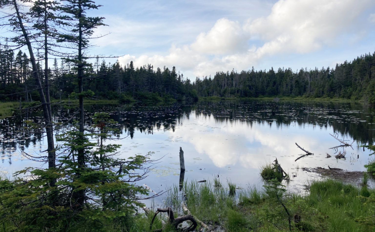 Trip Report: Grand Tour of the Pemigewasset — AKA a Pemi Loop ...