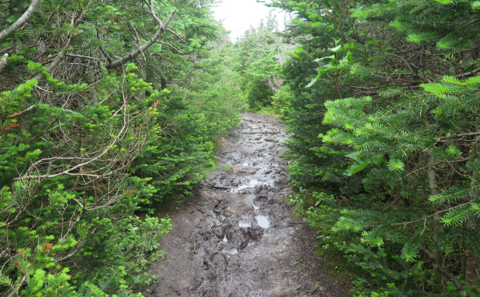 Trip Report: Grand Tour of the Pemigewasset — AKA a Pemi Loop ...