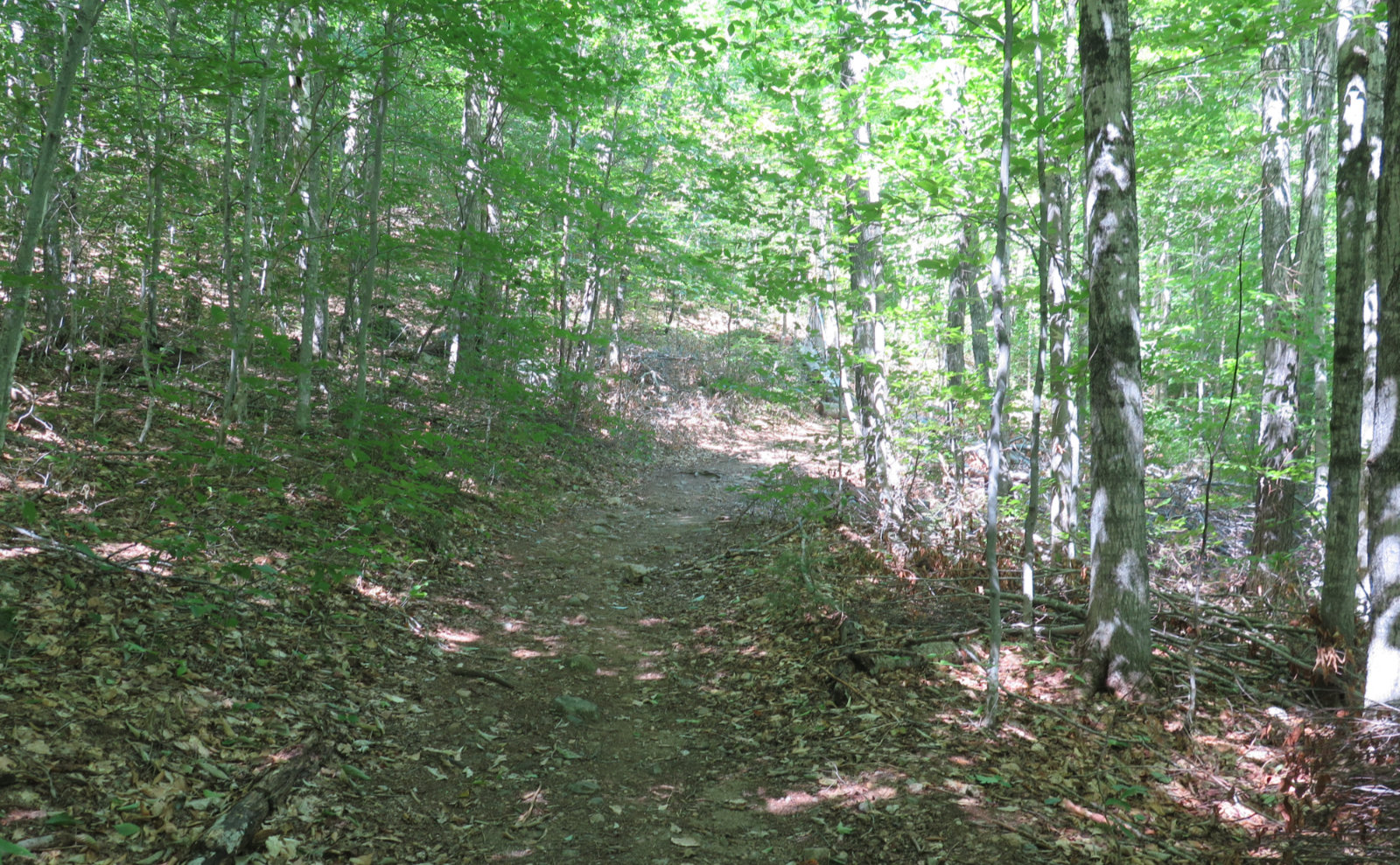 Trip Report: Stillness and Solitude: Hiking Mt Nancy, and out to ...