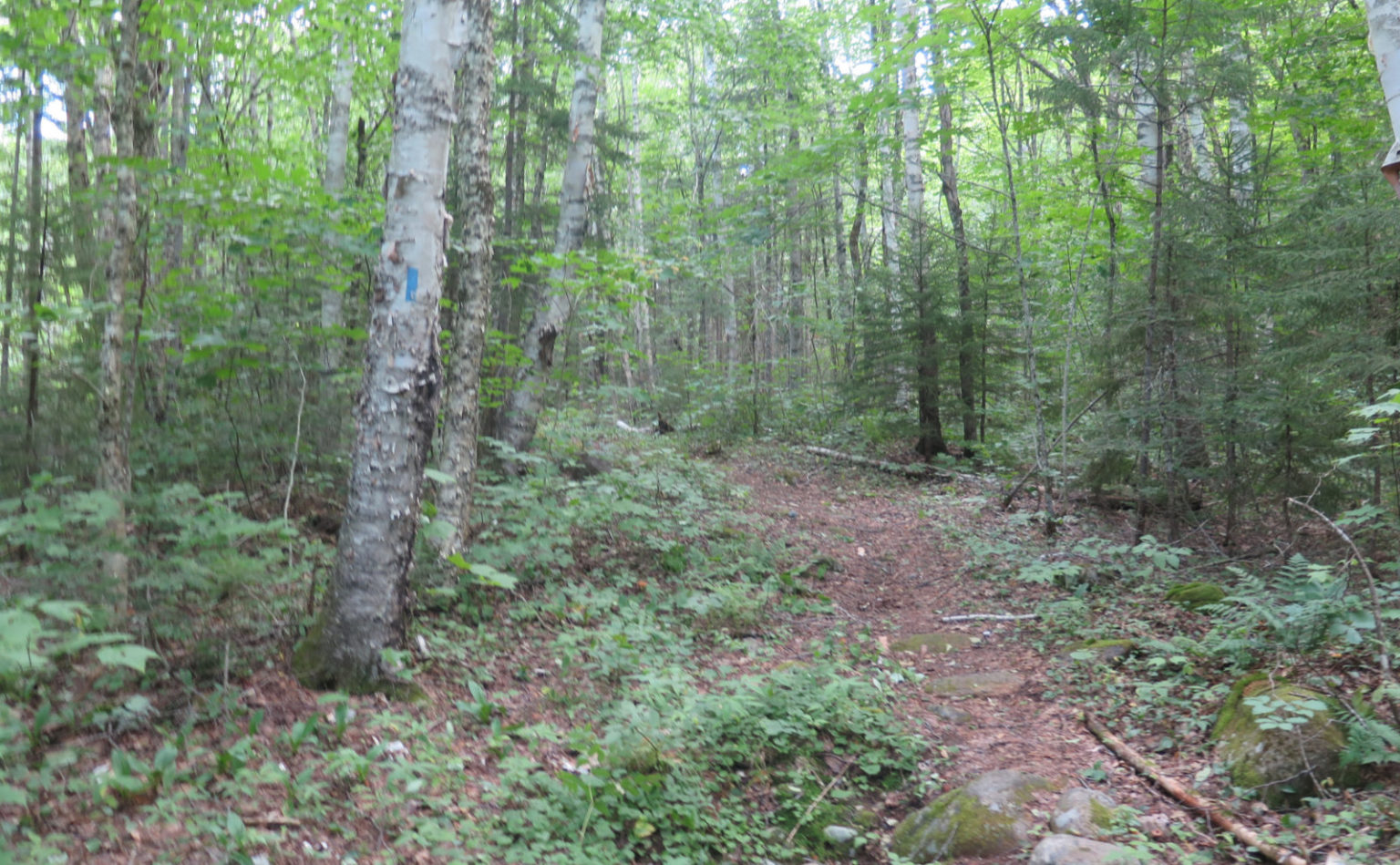 Trip Report: Mahoosuc Notch — Hiking the Toughest Mile of the ...