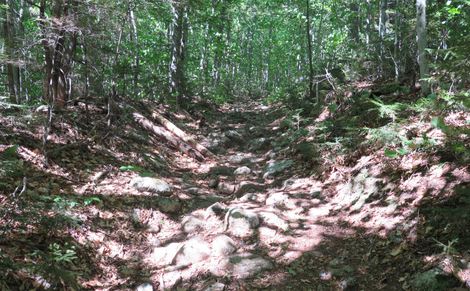 Trip Report: Stillness and Solitude: Hiking Mt Nancy, and out to ...