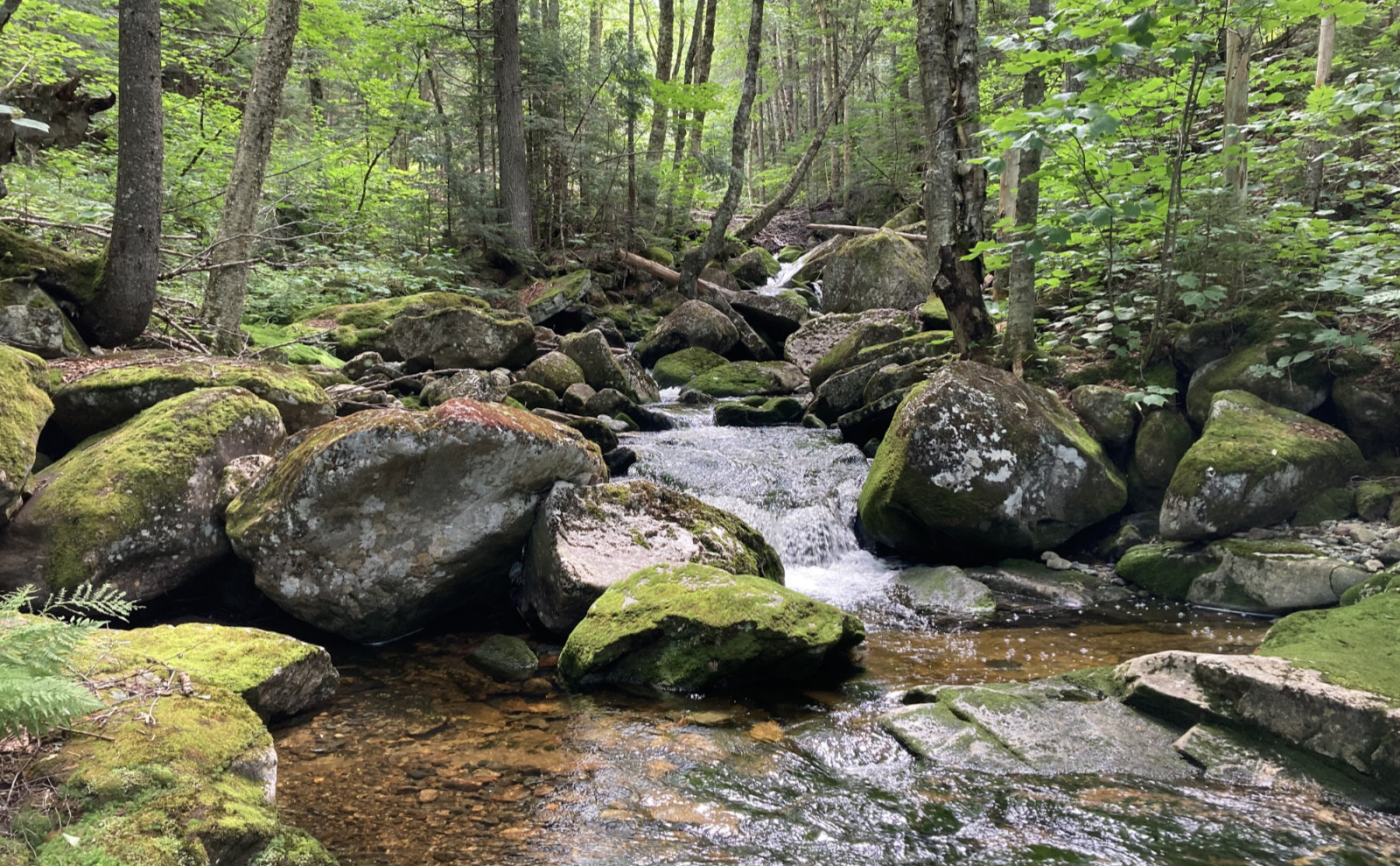 Trip Report: Mahoosuc Notch — Hiking the Toughest Mile of the ...