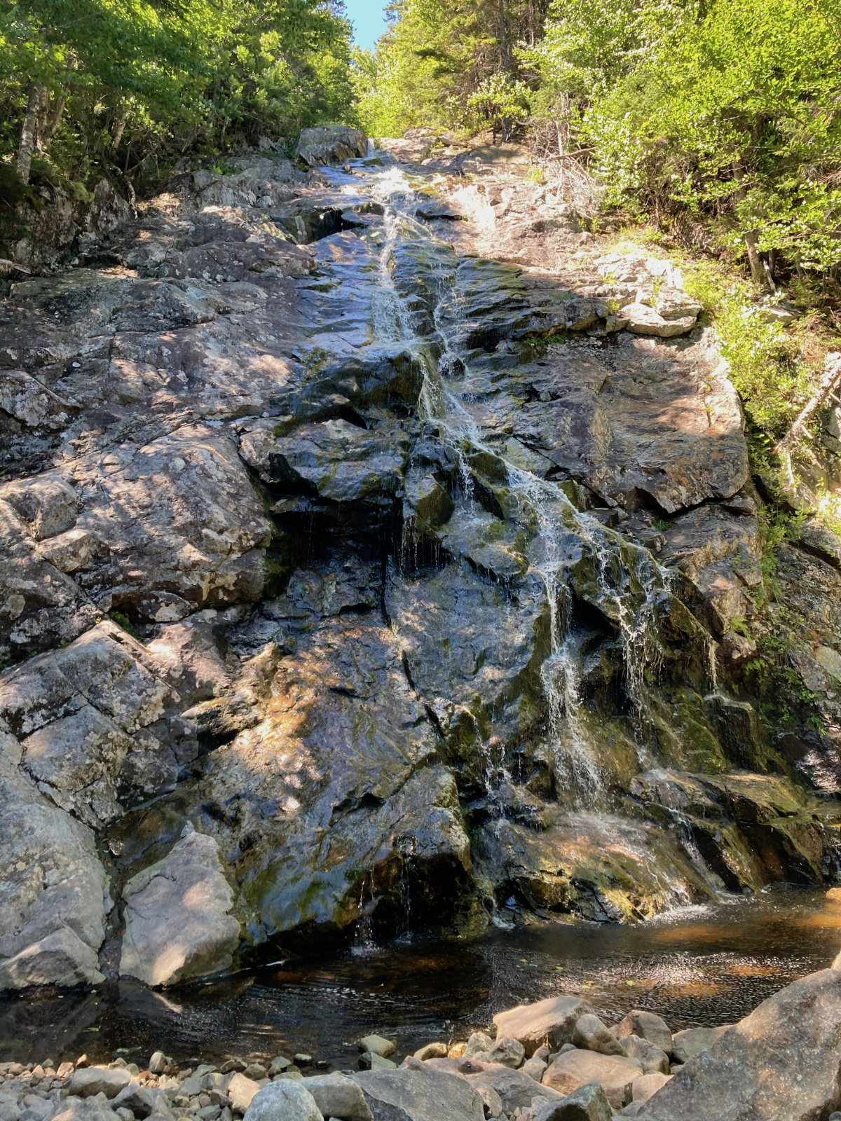 Trip Report: Stillness and Solitude: Hiking Mt Nancy, and out to ...