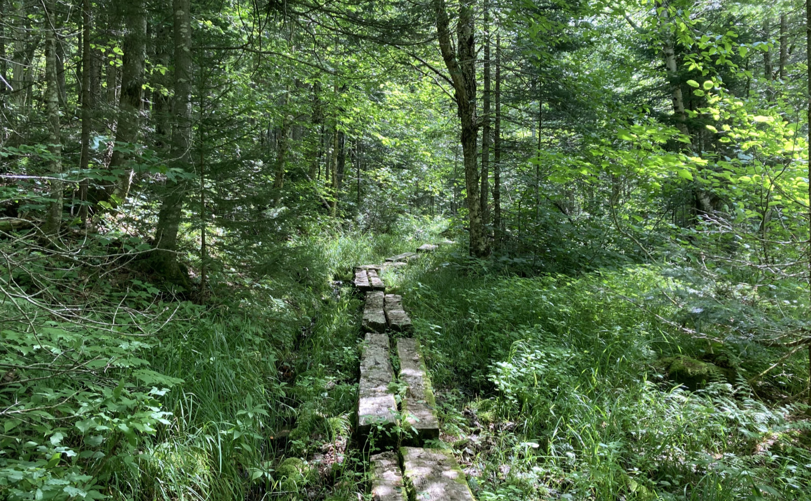 Trip Report: Mahoosuc Notch — Hiking the Toughest Mile of the ...