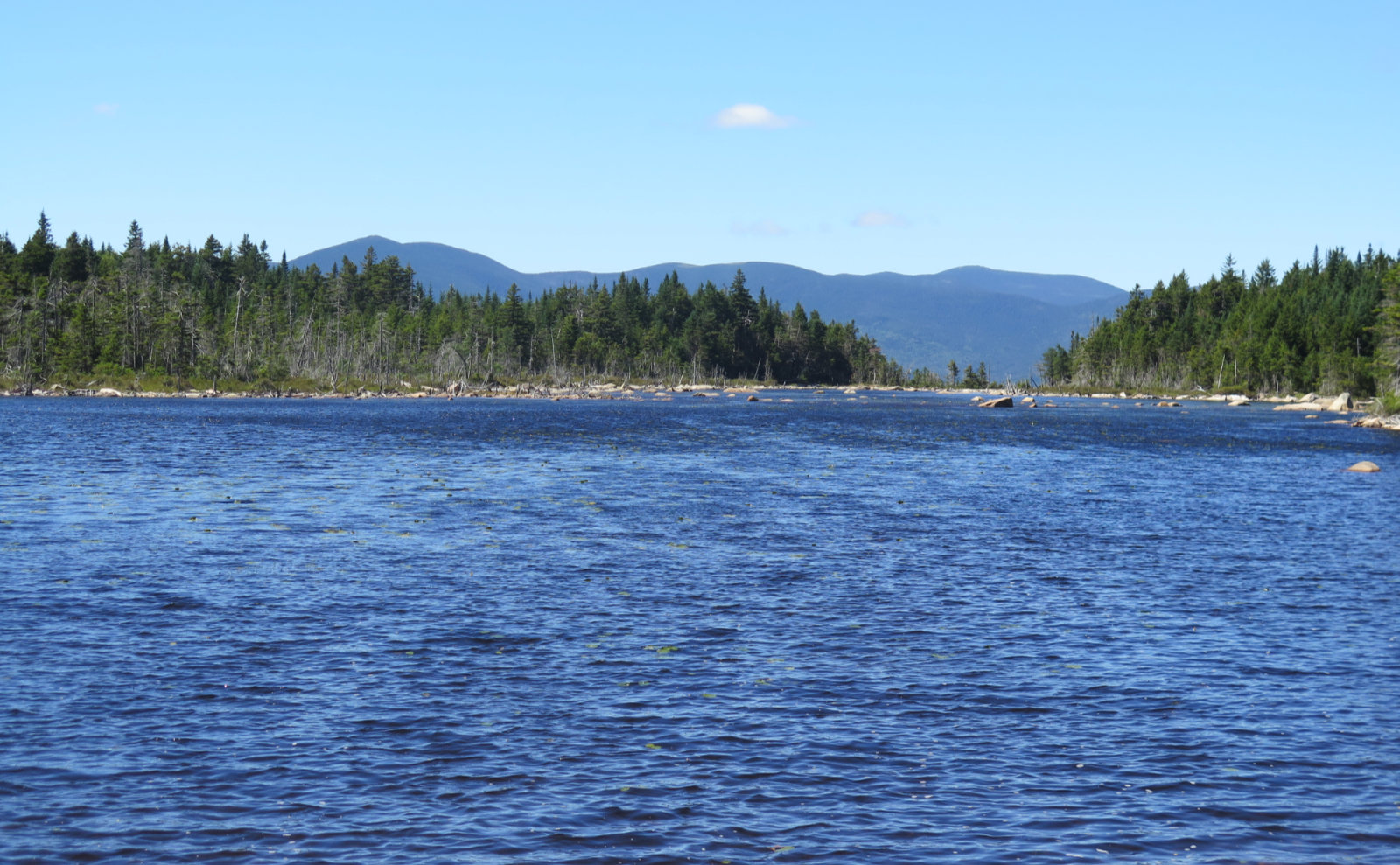 Trip Report: Stillness and Solitude: Hiking Mt Nancy, and out to ...