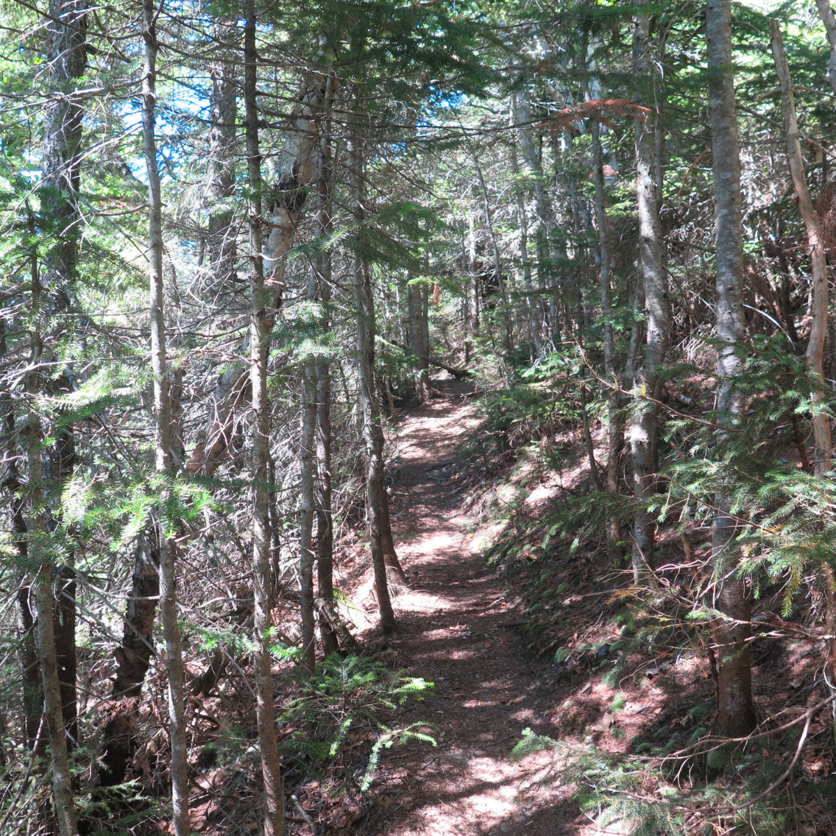 Trip Report: Stillness and Solitude: Hiking Mt Nancy, and out to ...