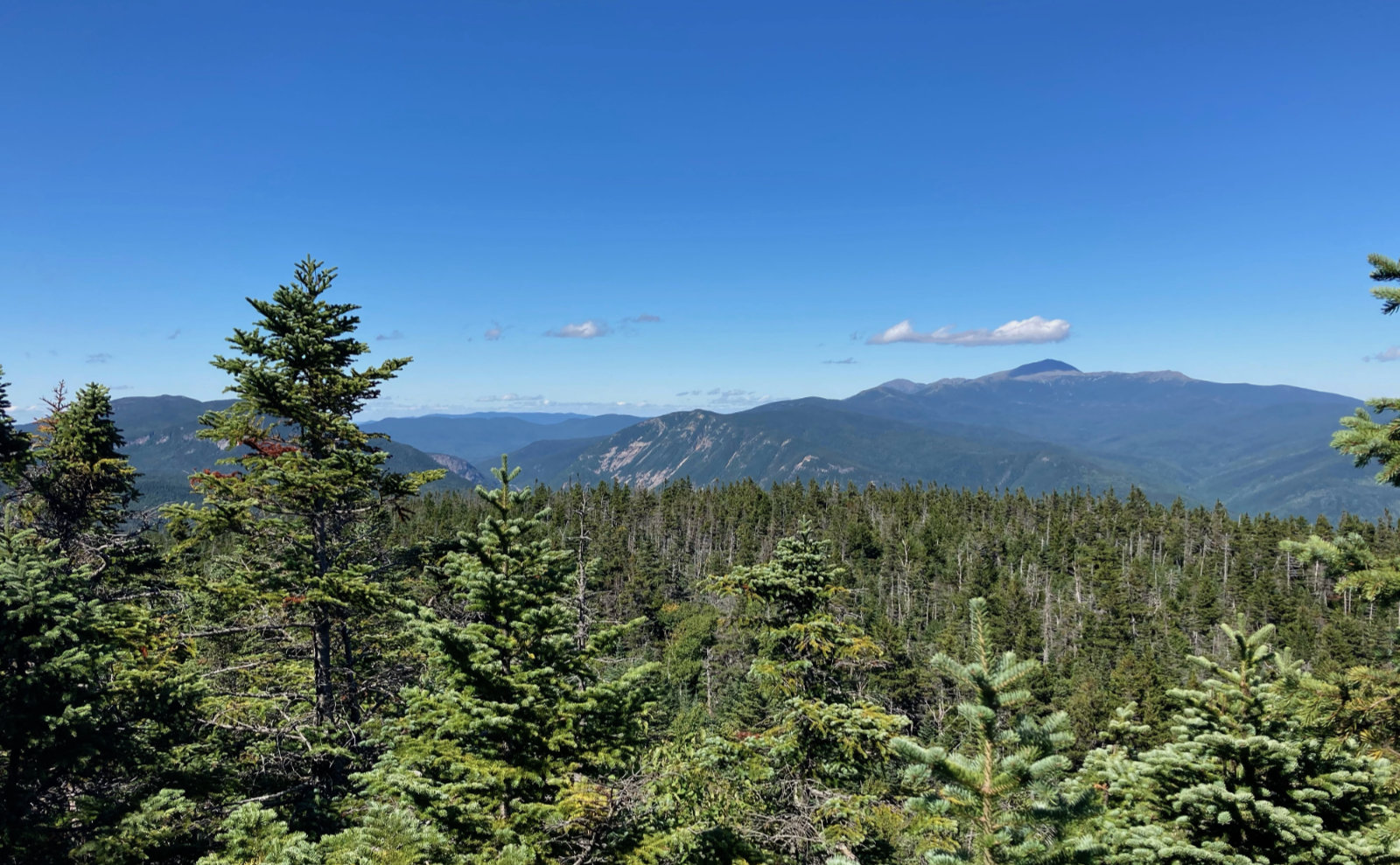 Trip Report: Stillness and Solitude: Hiking Mt Nancy, and out to ...