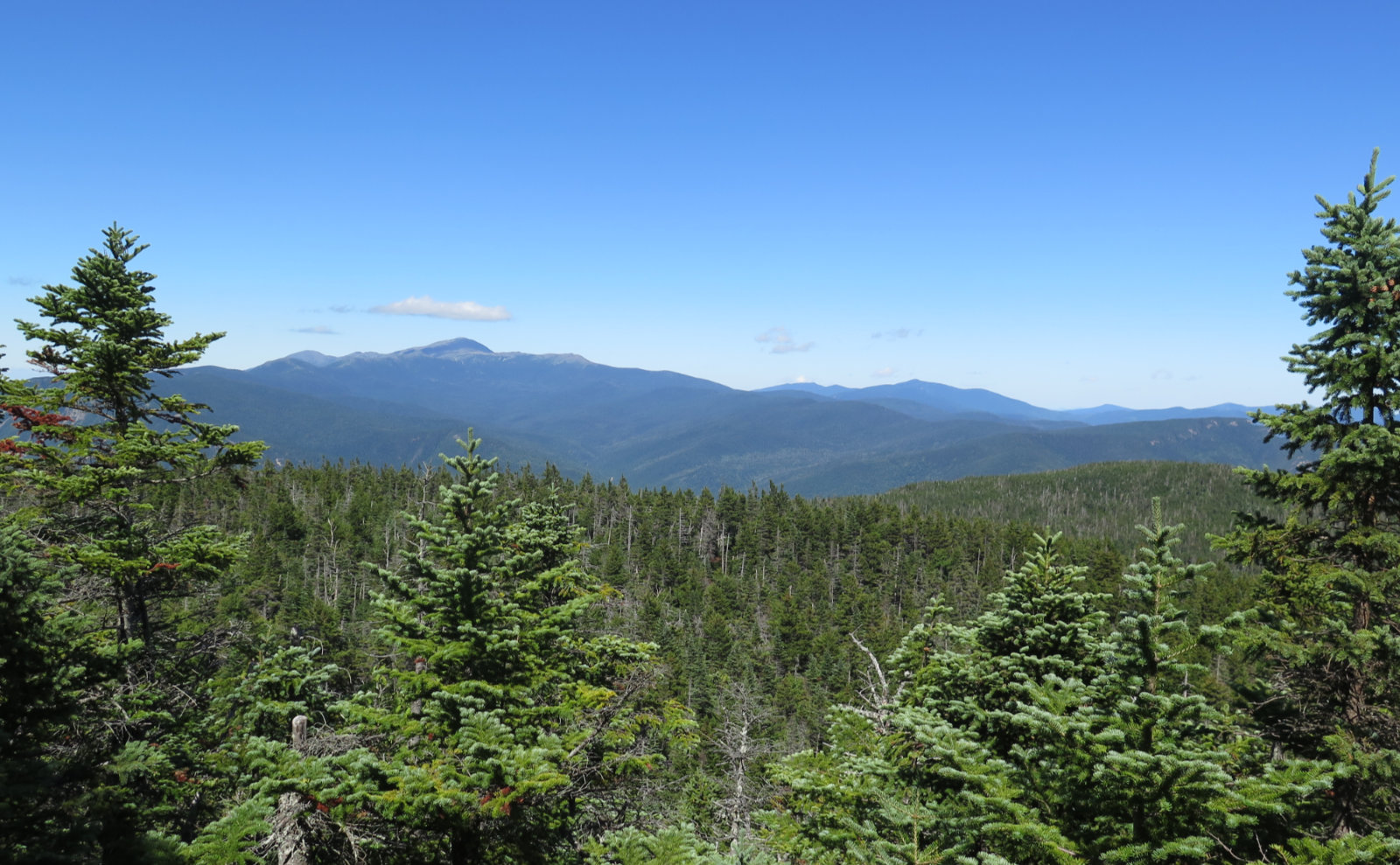 Trip Report: Stillness and Solitude: Hiking Mt Nancy, and out to ...