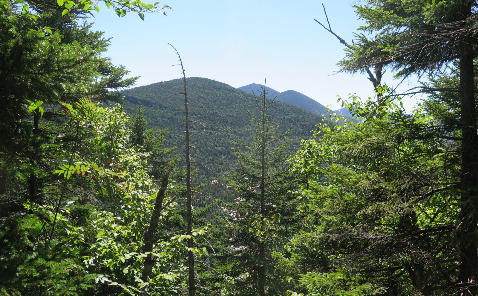 Trip Report: Stillness and Solitude: Hiking Mt Nancy, and out to ...