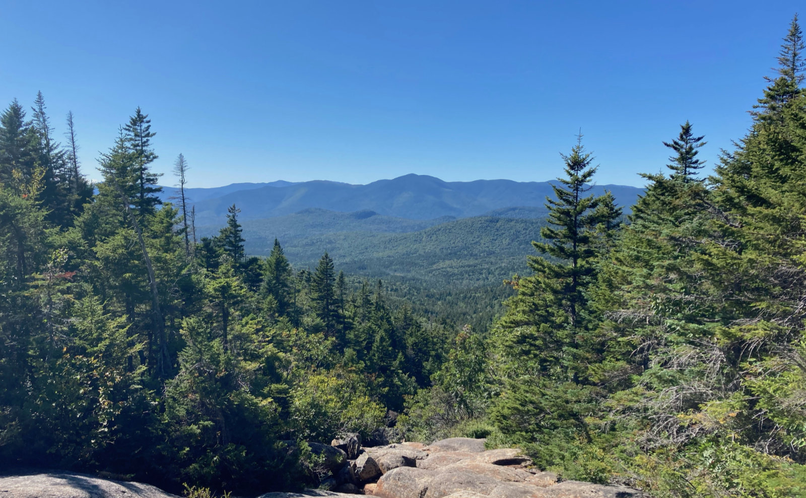 Trip Report: Stillness and Solitude: Hiking Mt Nancy, and out to ...