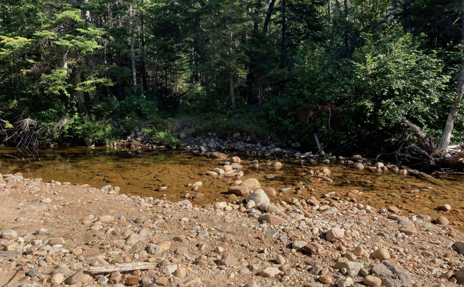 Trip Report: Stillness and Solitude: Hiking Mt Nancy, and out to ...