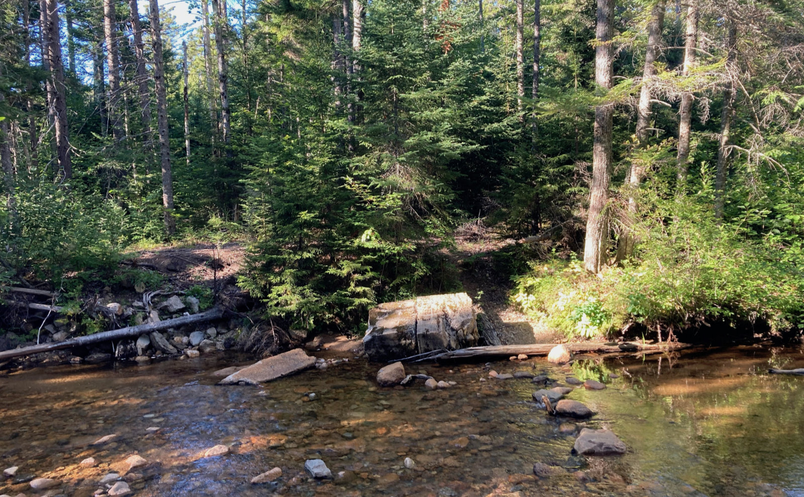 Trip Report: Stillness and Solitude: Hiking Mt Nancy, and out to ...