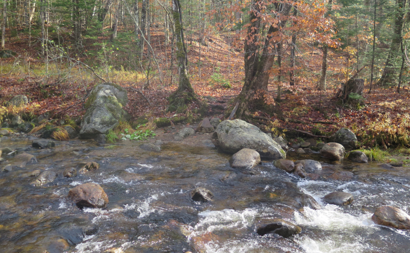 Trip Report: Over the Rainbow on Carter Dome – Protean Wanderer