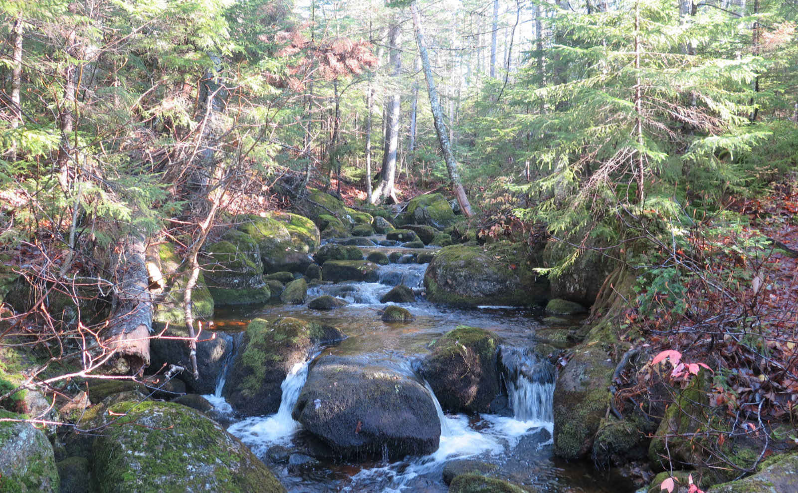 Trip Report: Over the Rainbow on Carter Dome – Protean Wanderer