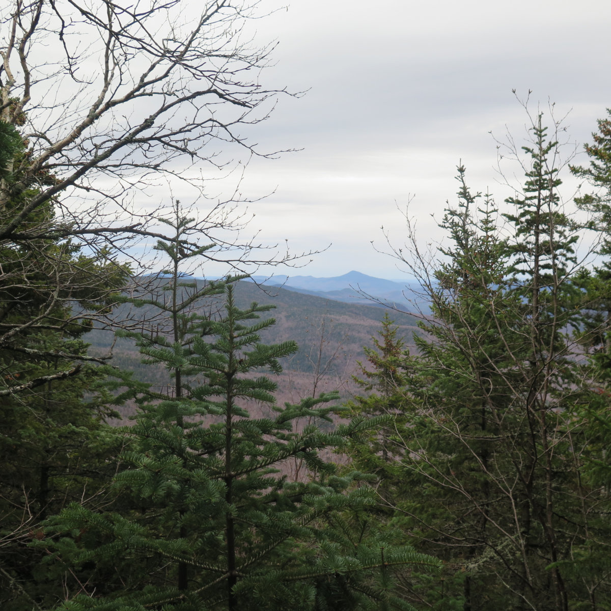 Trip Report: Crushing Carrigain – Protean Wanderer