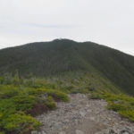 Trip Report: Crushing Carrigain – Protean Wanderer