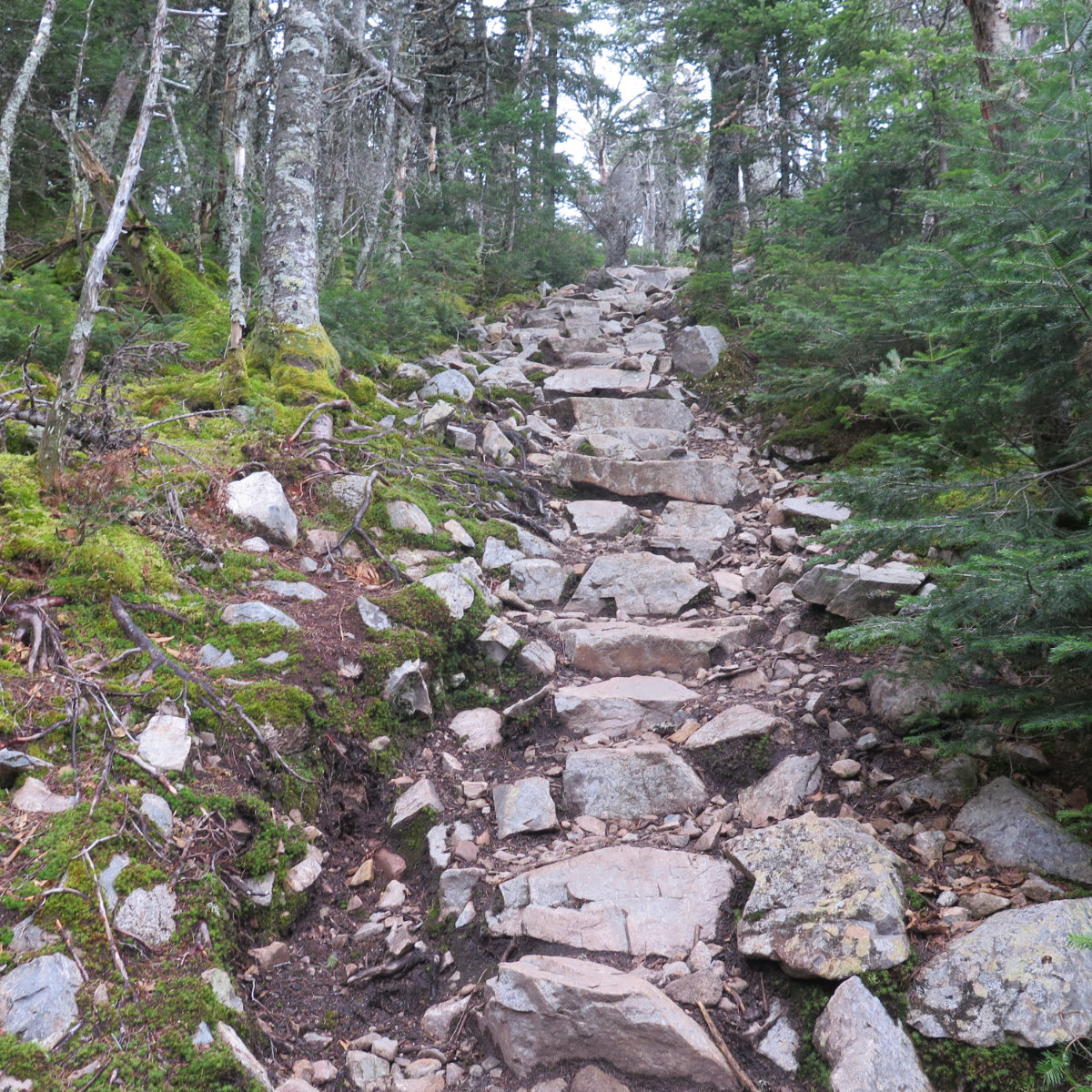 Trip Report: Crushing Carrigain – Protean Wanderer