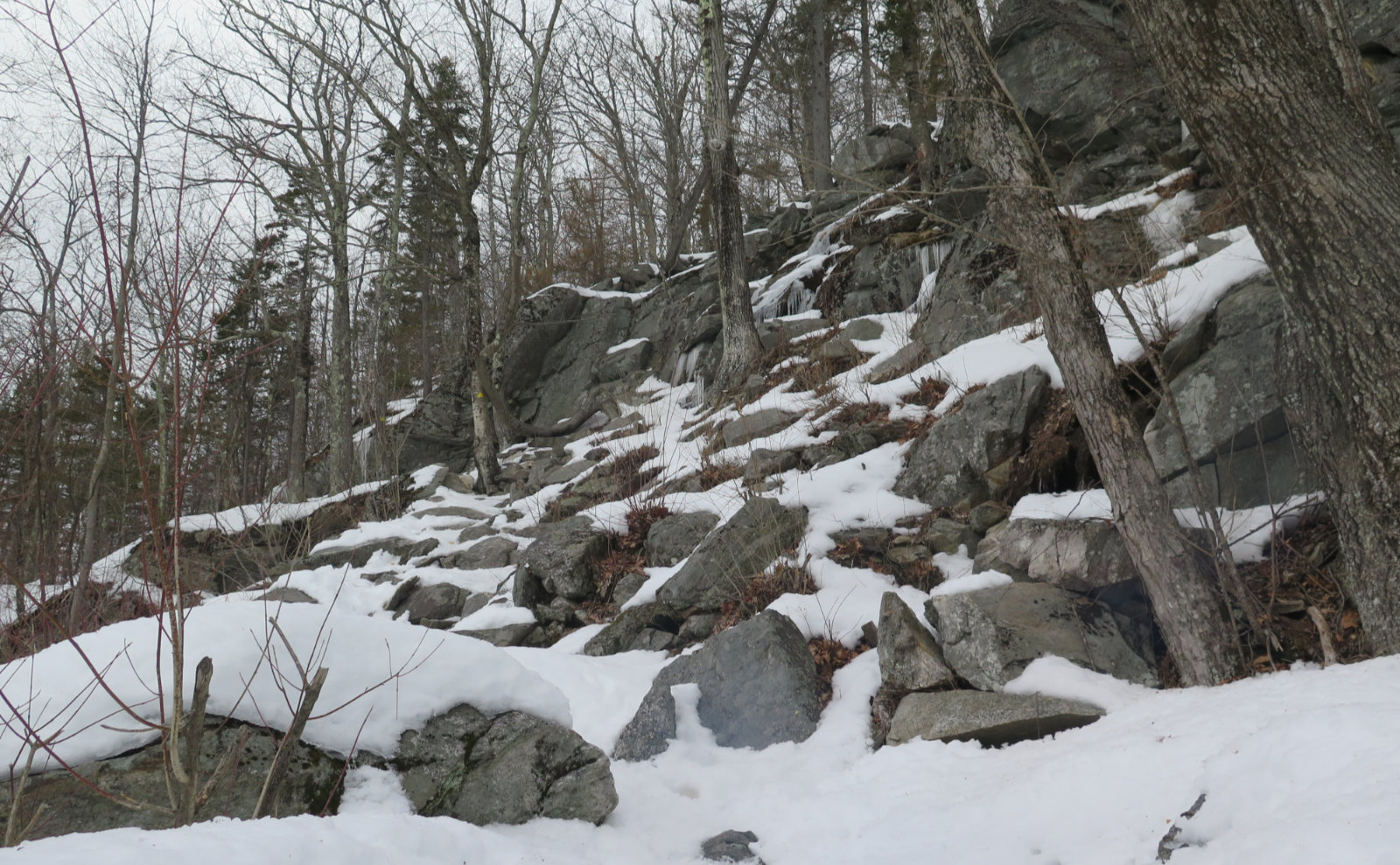 Trip Report: Pack Monadnock – Protean Wanderer
