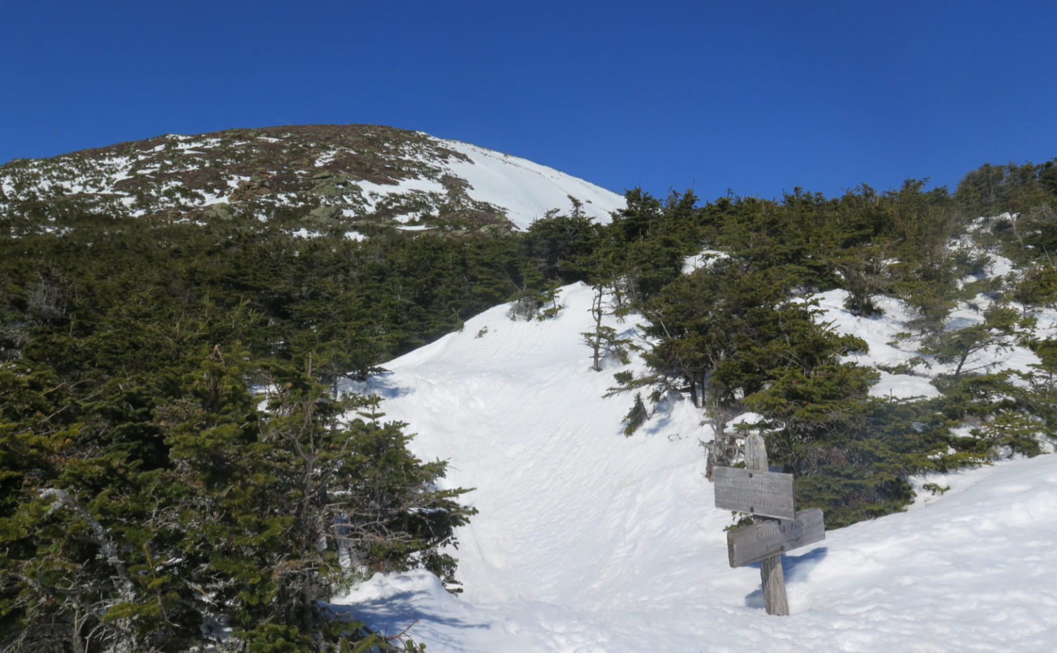 Trip Report: Warm Weather Walking across Mt Pierce and Mt Eisenhower ...