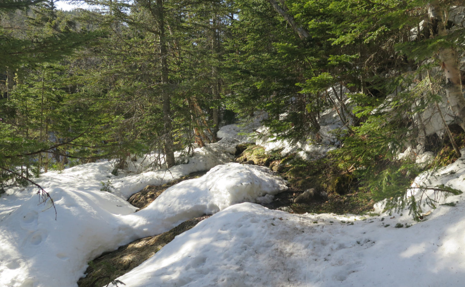 Trip Report: An isolated hike up Mt Isolation – Protean Wanderer