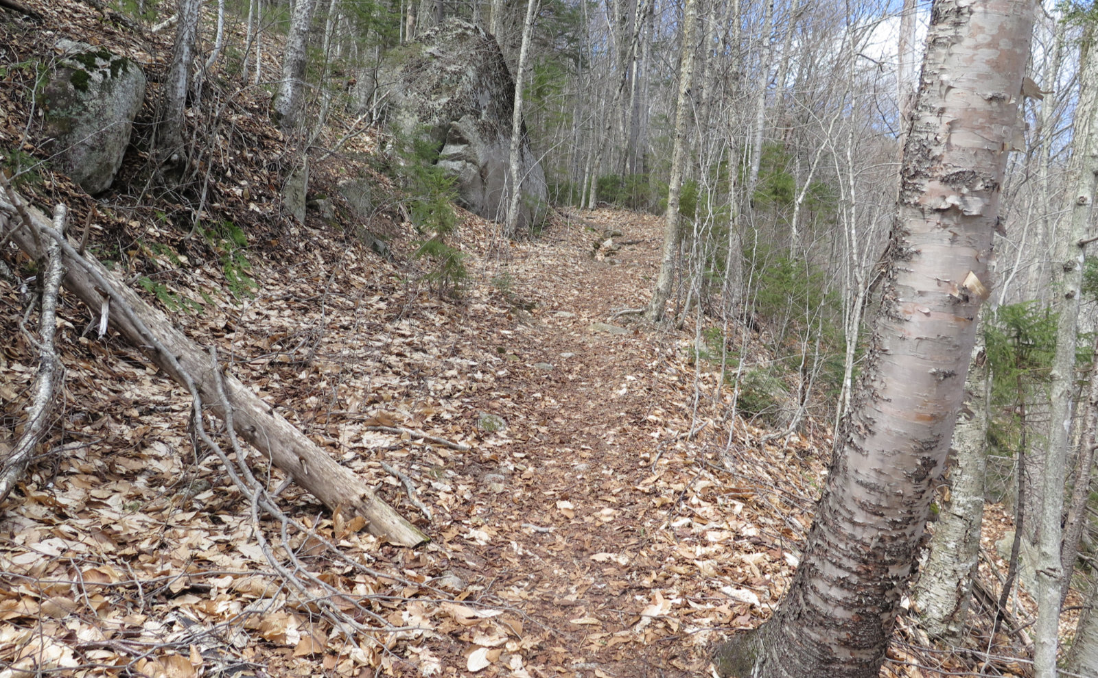 Trip Report: A Hike to Goodrich via Greeley – Protean Wanderer
