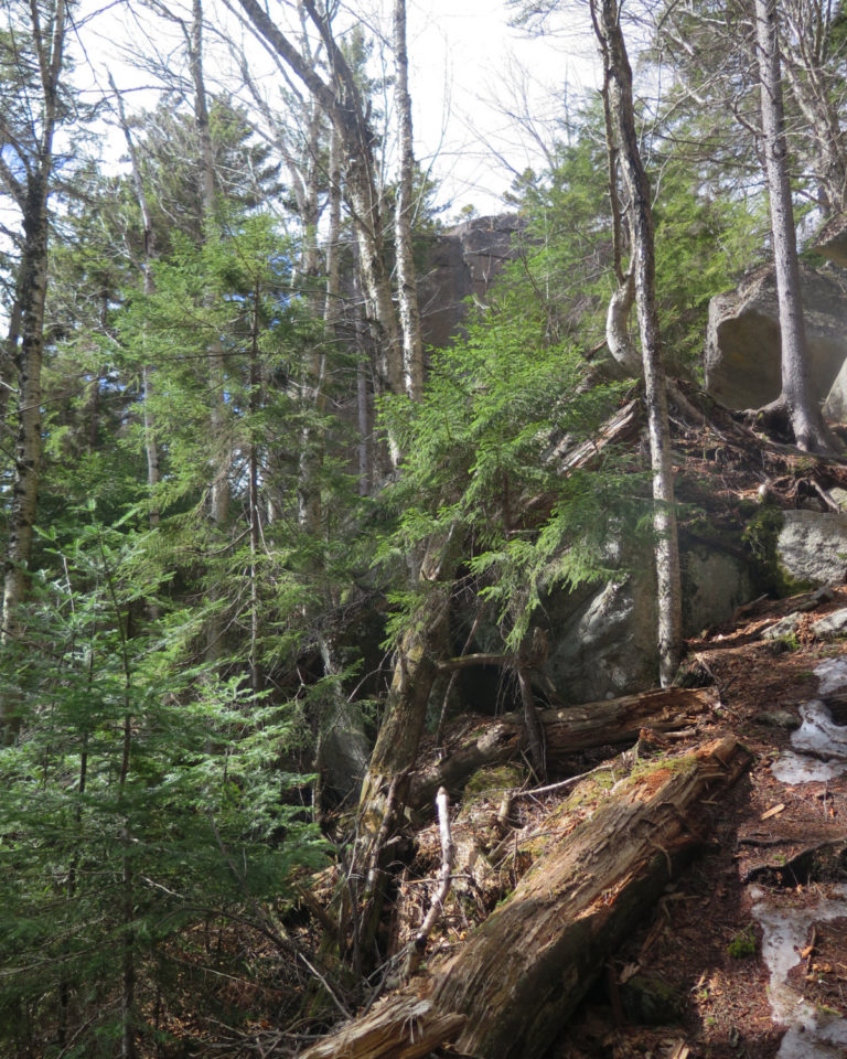 Trip Report: A Hike to Goodrich via Greeley – Protean Wanderer