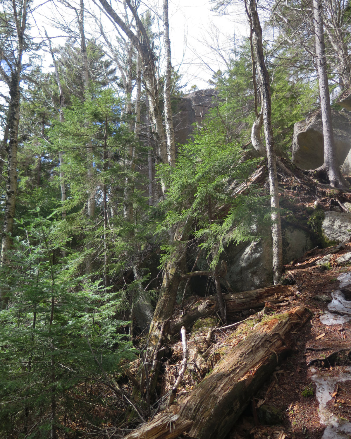 Trip Report: A Hike to Goodrich via Greeley – Protean Wanderer